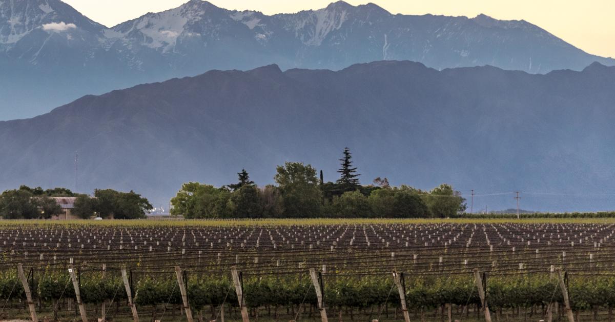 Nosotros | UVA - Wine Experiences